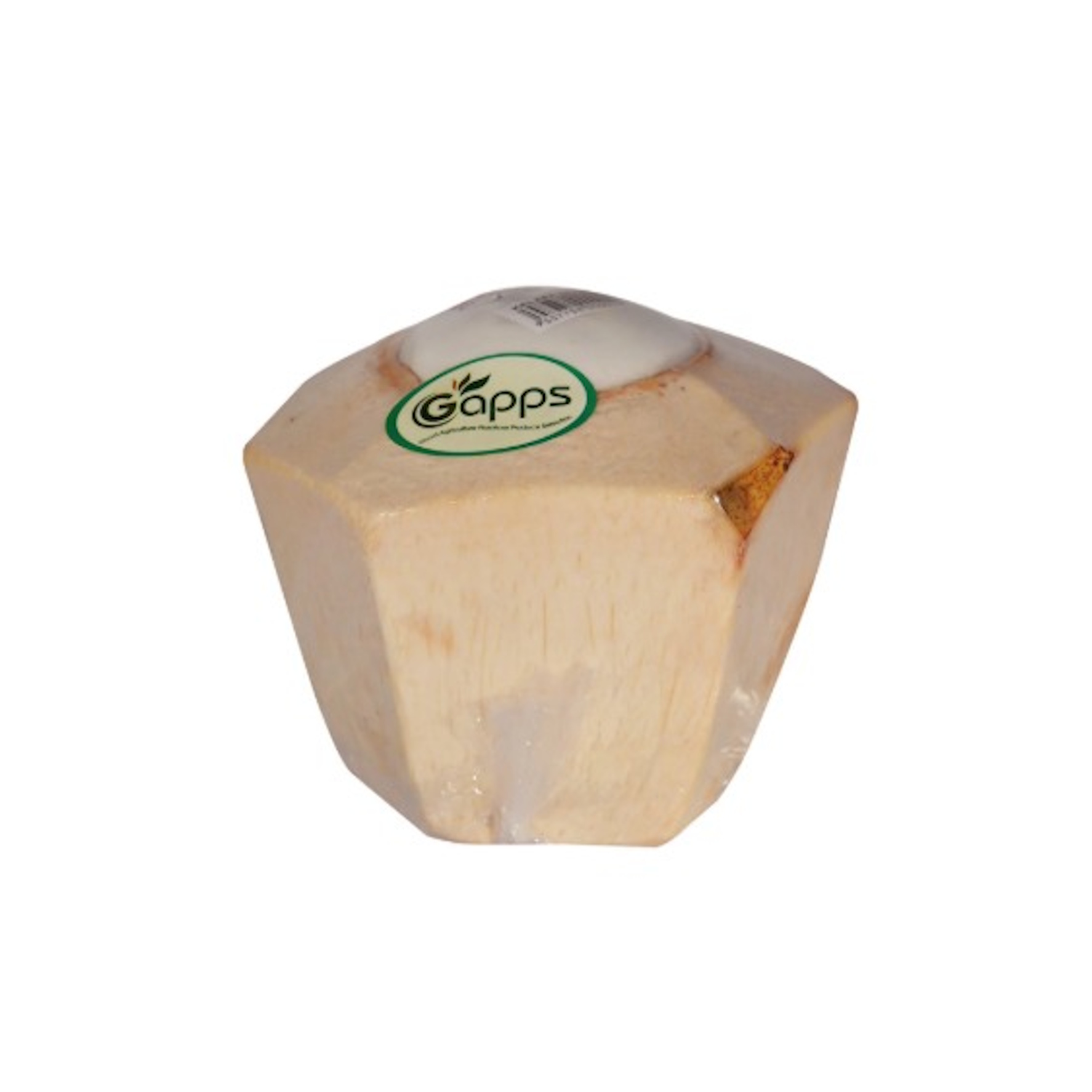 Coconut Botak - Green Fusion - Malaysia Fruits Vegetables Supplier